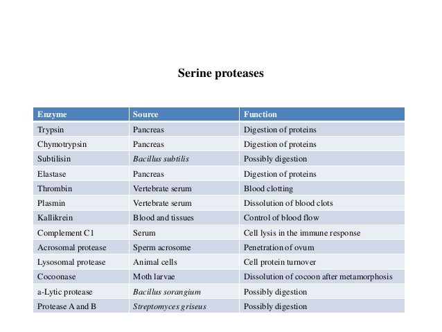 BT631-30-Proteases