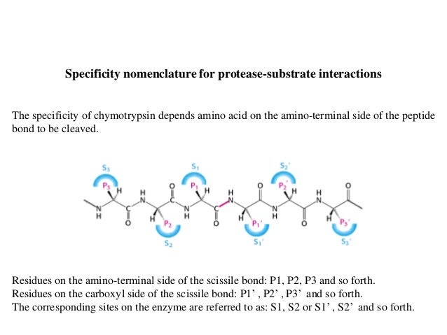 BT631-30-Proteases