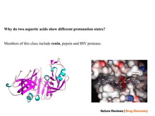 BT631-Lec31-Proteases | PDF