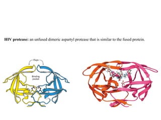 BT631-Lec31-Proteases | PDF