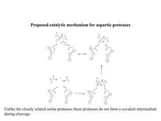 BT631-Lec31-Proteases | PDF