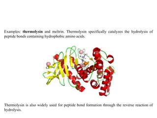 BT631-Lec31-Proteases | PDF
