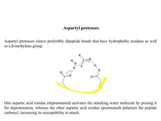 BT631-Lec31-Proteases | PDF