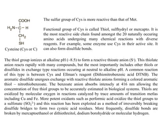 BT631-3-amino_acids | PPT