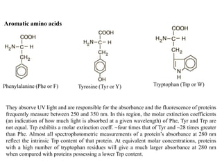 BT631-3-amino_acids | PPT
