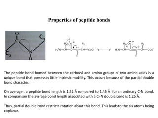 BT631-4-peptide_bonds | PDF