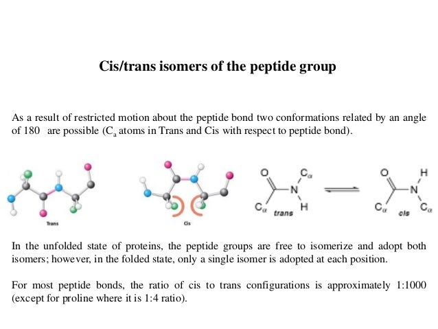 BT631-4-peptide_bonds