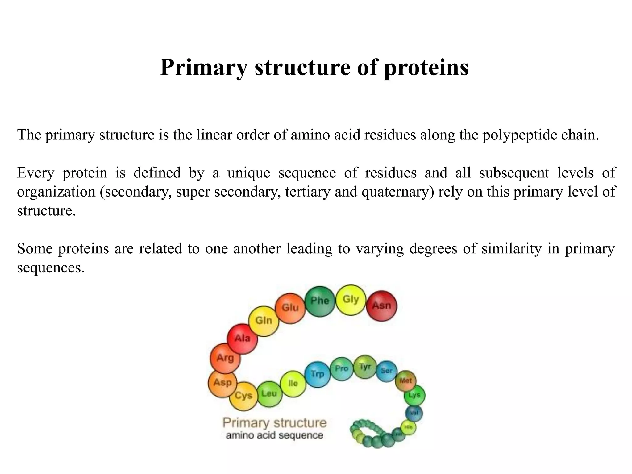 BT631-5-primary_secondary_structures_proteins | PPT