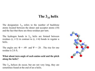 BT631-5-primary_secondary_structures_proteins | PDF