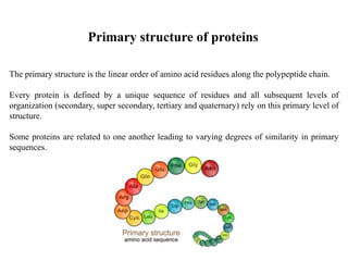 BT631-5-primary_secondary_structures_proteins | PPT