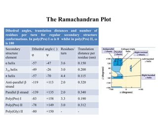 BT631-5-primary_secondary_structures_proteins | PDF