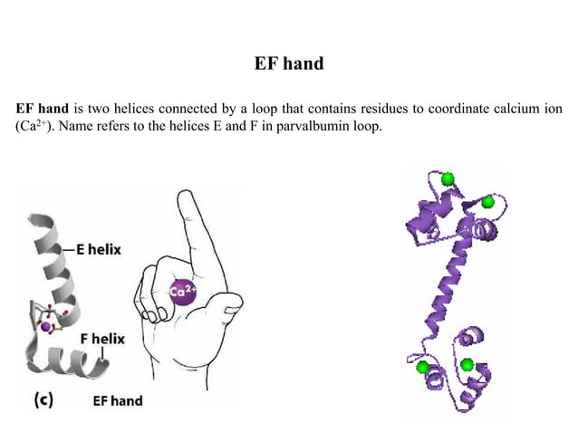 BT631-6-structural_motifs | PDF | Programming Languages | Computing