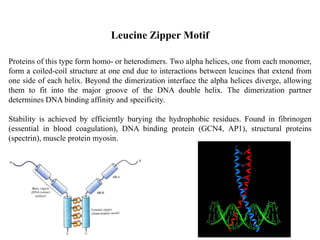 BT631-6-structural_motifs | PDF | Programming Languages | Computing
