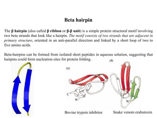 BT631-6-structural_motifs | PDF | Programming Languages | Computing