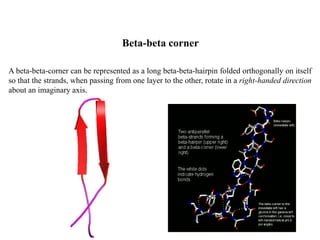 BT631-6-structural_motifs | PDF