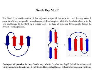 BT631-6-structural_motifs | PDF | Programming Languages | Computing