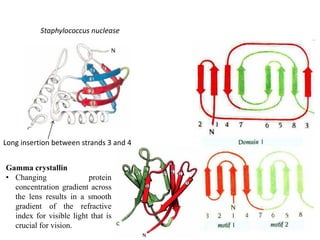 BT631-6-structural_motifs | PDF | Programming Languages | Computing