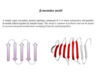 BT631-6-structural_motifs | PDF | Programming Languages | Computing