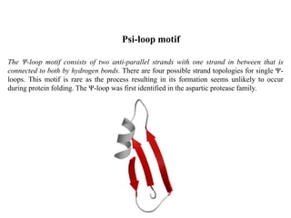 BT631-6-structural_motifs | PDF | Programming Languages | Computing