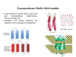 BT631-6-structural_motifs | PDF | Programming Languages | Computing