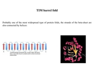 BT631-6-structural_motifs | PDF | Programming Languages | Computing
