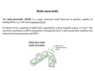 BT631-6-structural_motifs | PDF | Programming Languages | Computing