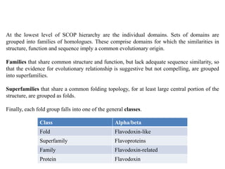 BT631-8-Folds_proteins | PDF | Chemistry | Science
