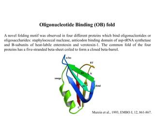 BT631-8-Folds_proteins | PDF | Chemistry | Science