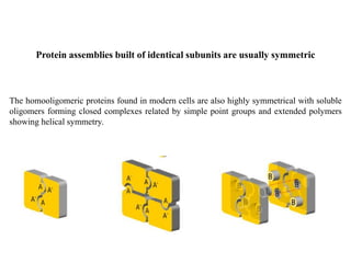 BT631-9-quaternary_structures_proteins | PDF