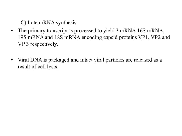 VIRAL VECTORS FOR GENE TRANSFER | PPTX | Biological Sciences | Science