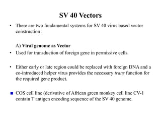 VIRAL VECTORS FOR GENE TRANSFER | PPTX