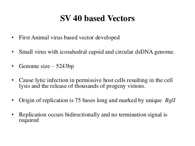 VIRAL VECTORS FOR GENE TRANSFER