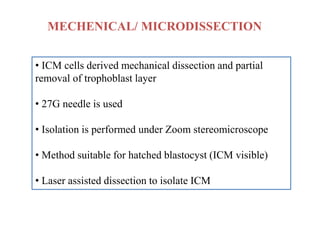 PRODUCTION AND MAINTENANCE OF EMBRYONIC STEM CELLS | PPTX