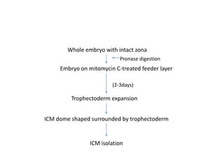 PRODUCTION AND MAINTENANCE OF EMBRYONIC STEM CELLS | PPTX