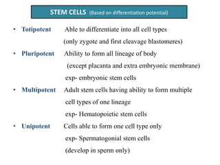 PRODUCTION AND MAINTENANCE OF EMBRYONIC STEM CELLS | PPTX