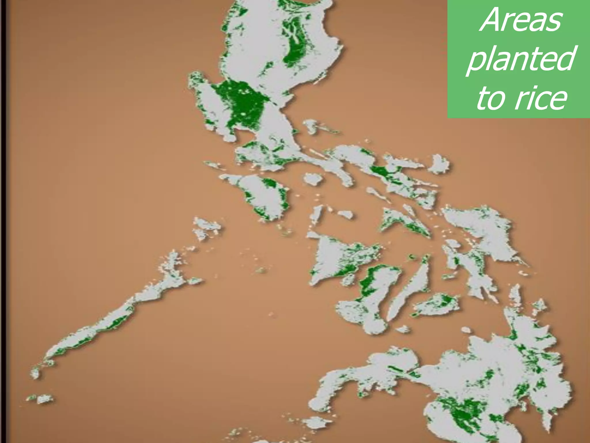 Rice Farming in the Philippines: Some Facts & Opportunities | PDF