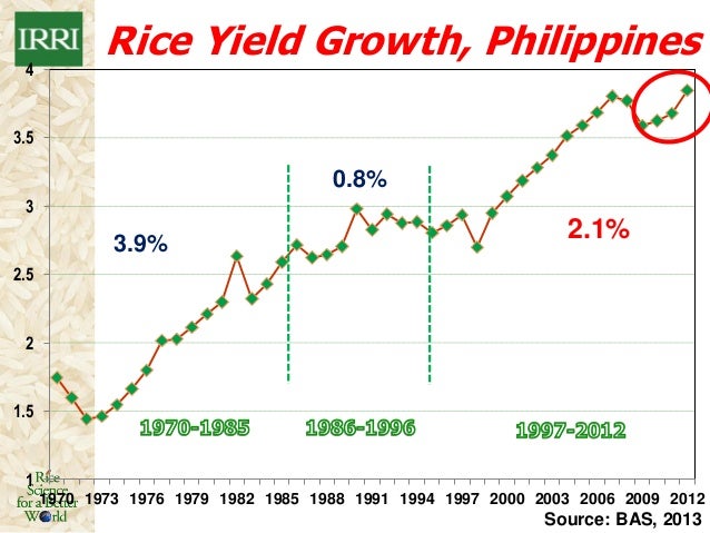 Rice Farming In The Philippines Some Facts And Opportunities