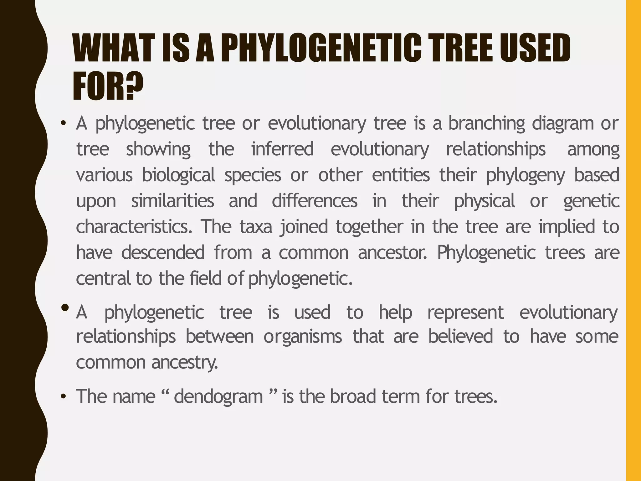 BTC 506 Phylogenetic Tree.pptx | Biological Sciences | Science