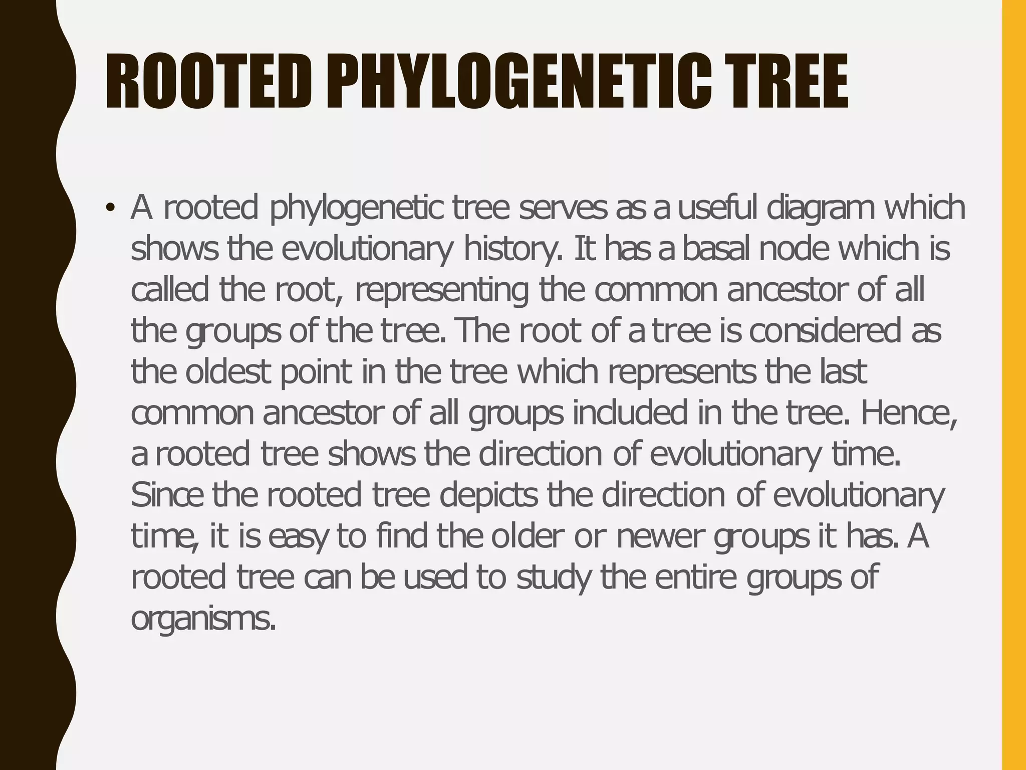 BTC 506 Phylogenetic Tree.pptx | Biological Sciences | Science