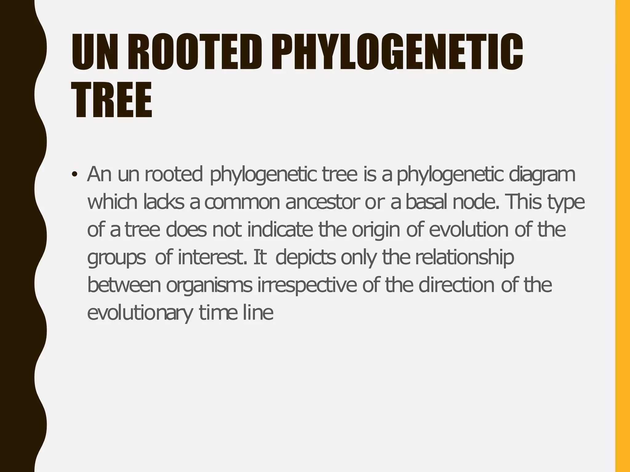 BTC 506 Phylogenetic Tree.pptx