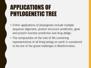 BTC 506 Phylogenetic Tree.pptx | Biological Sciences | Science