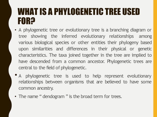 BTC 506 Phylogenetic Tree.pptx