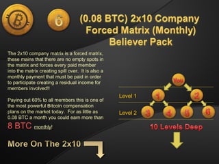 BTC HardDrive Compensation Plan | PPT