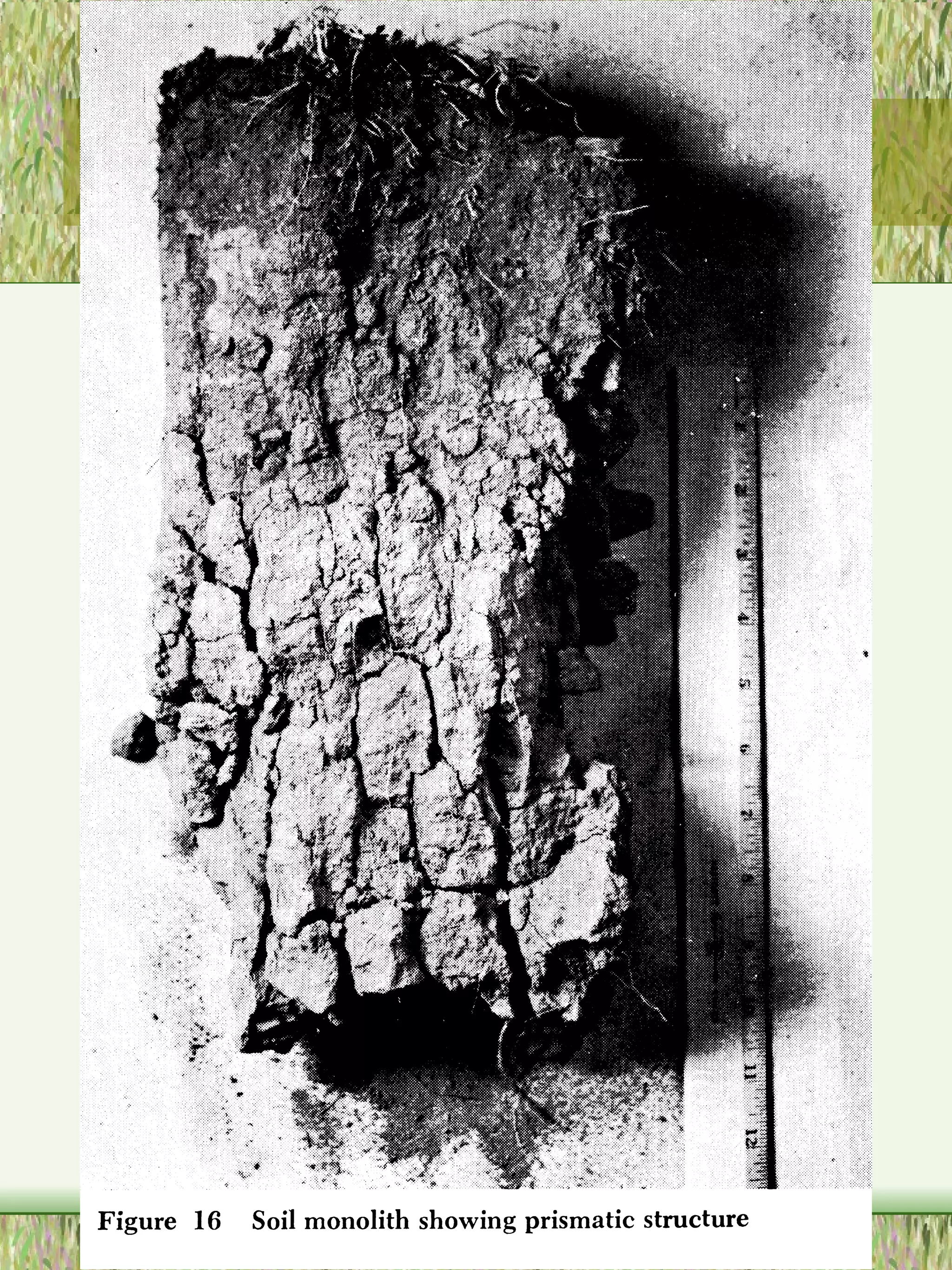 Garden Soils | PPT