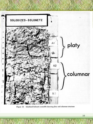Garden Soils | PPT