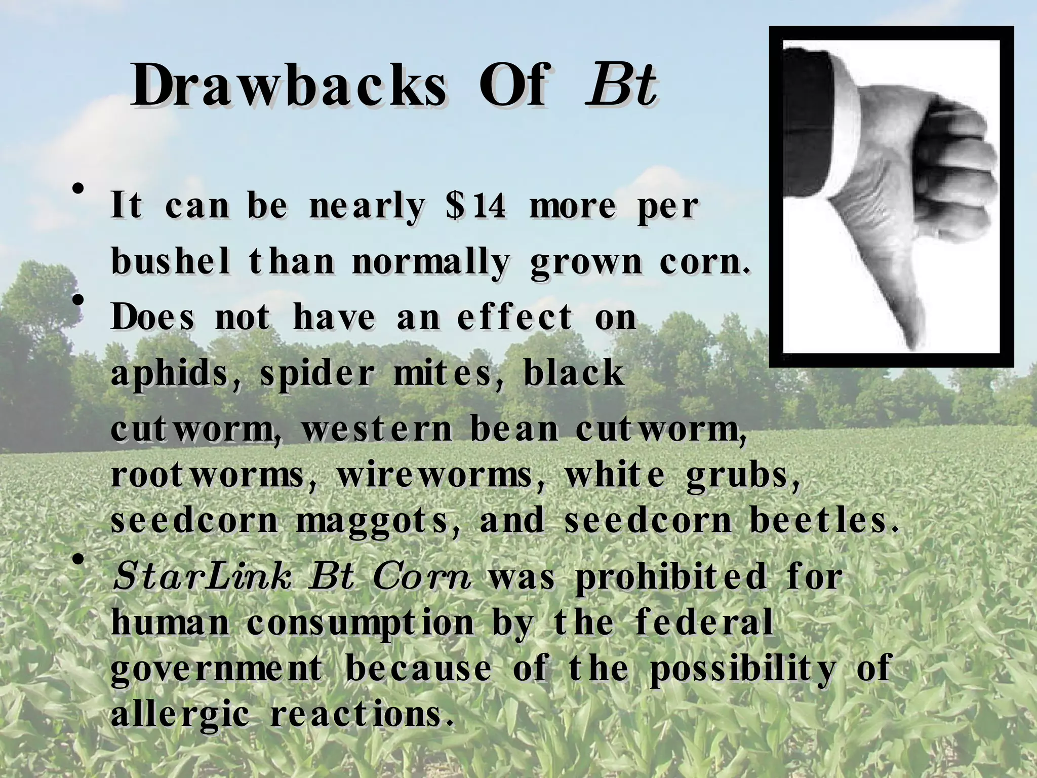 Bt Corn | PPT