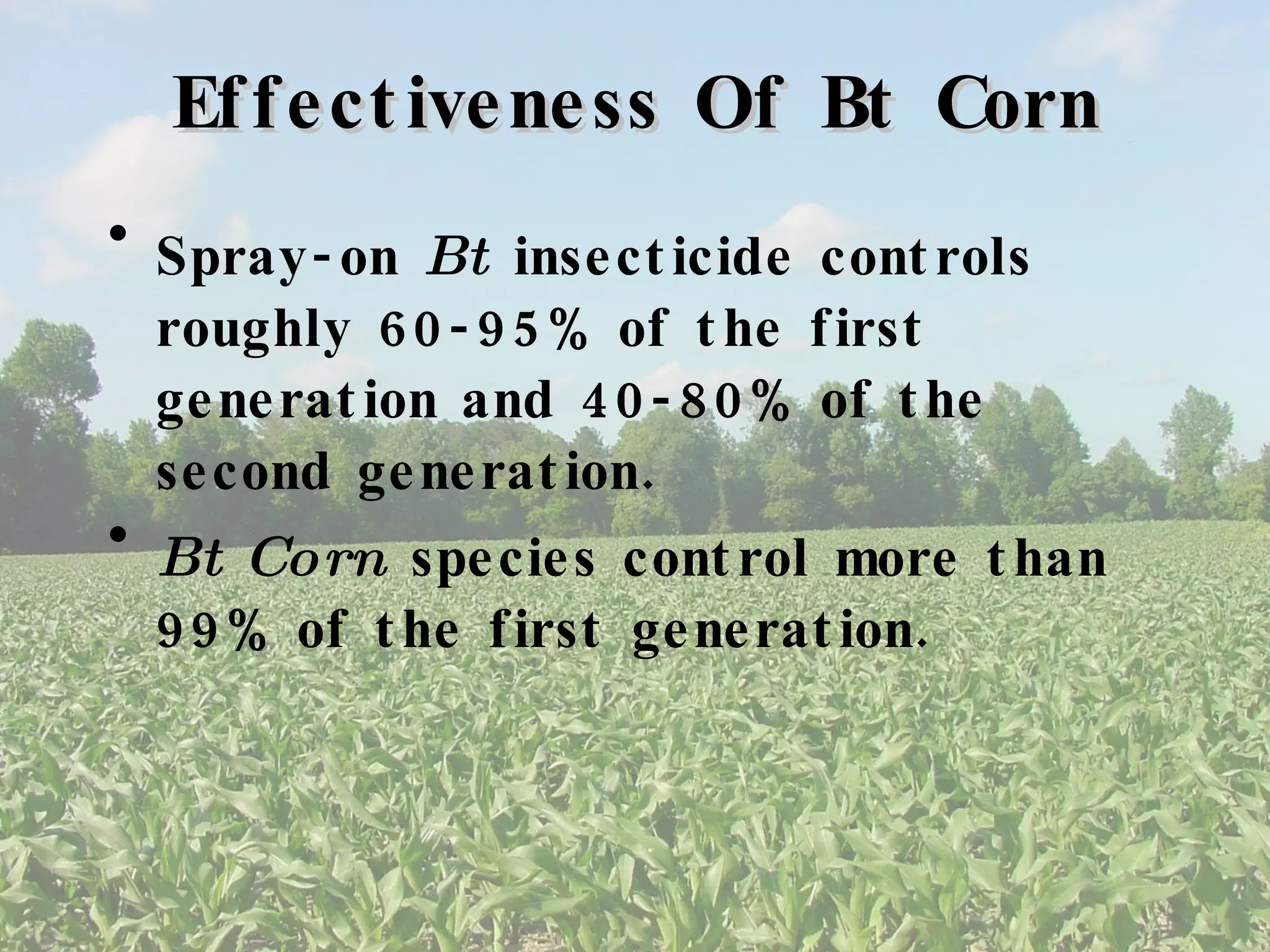 Bt Corn | PPT