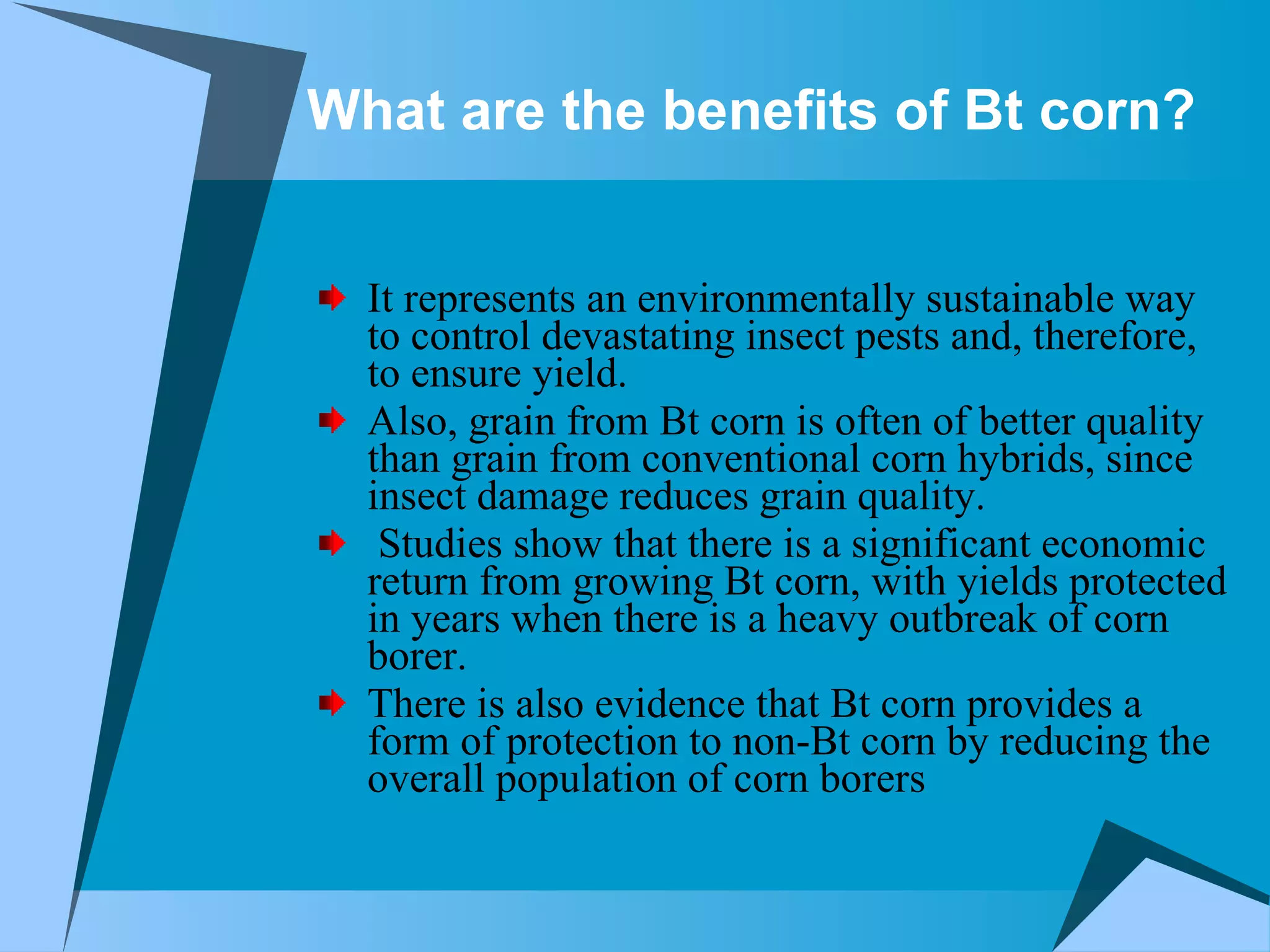 Bt corn | PPT