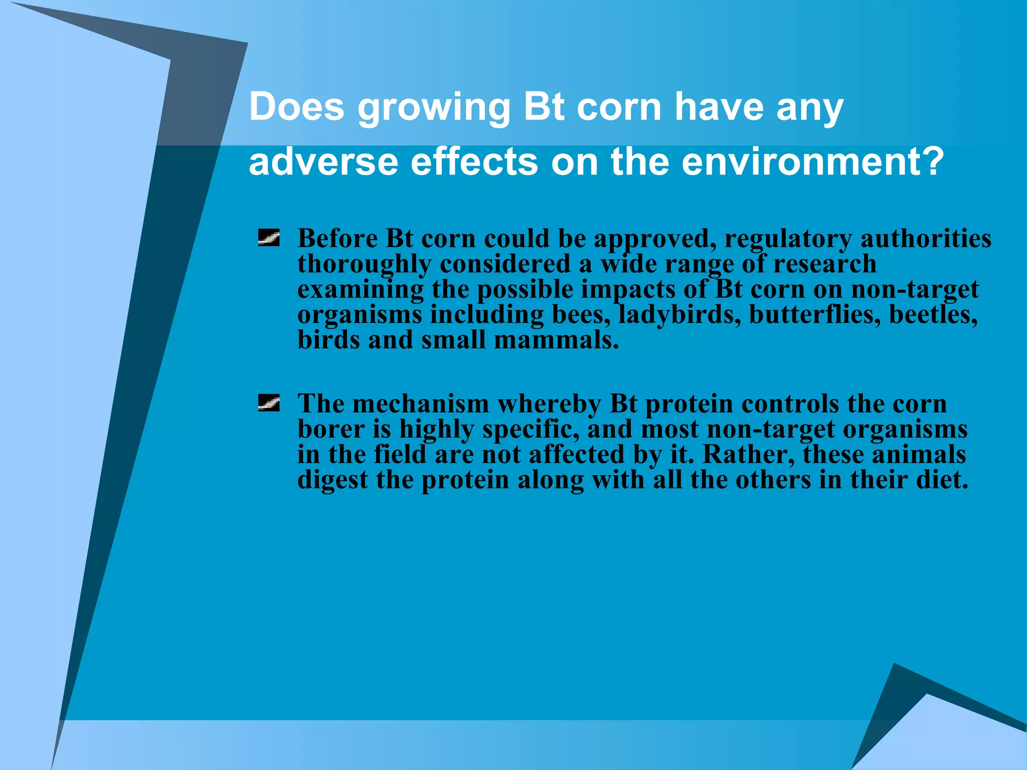 Bt corn | PPT