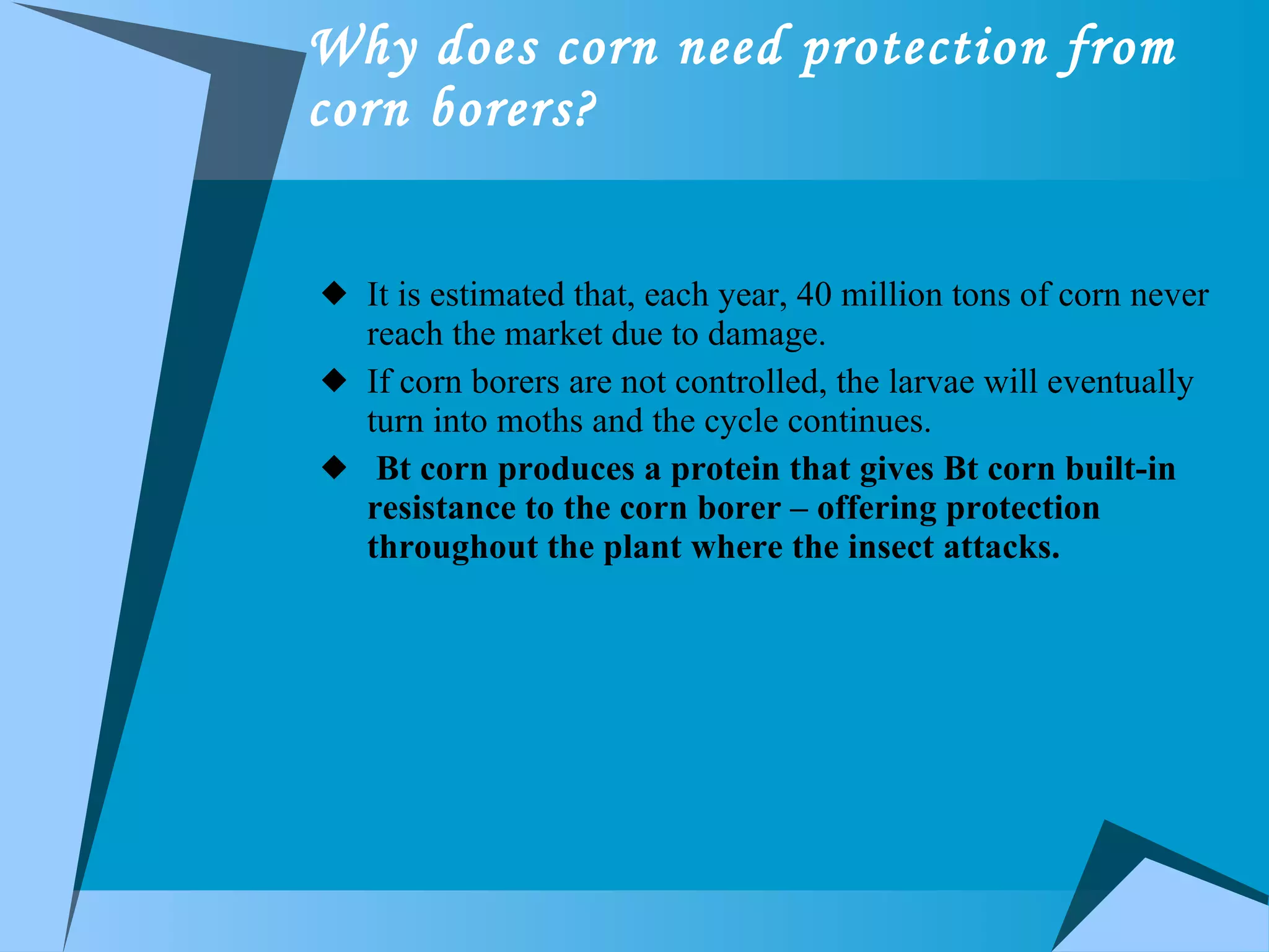 Bt corn | PPT